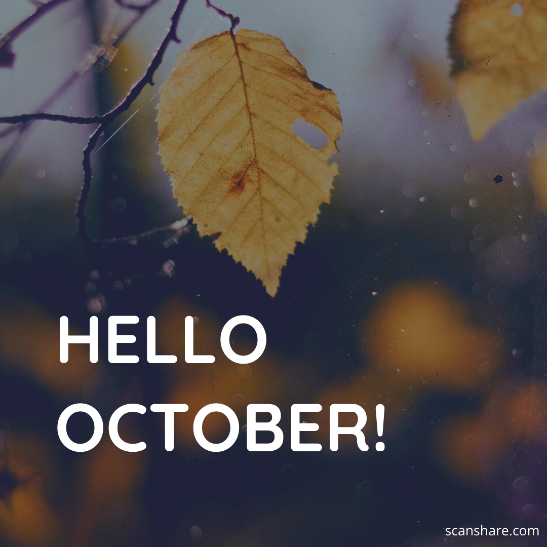 October release – Scanshare Applications
